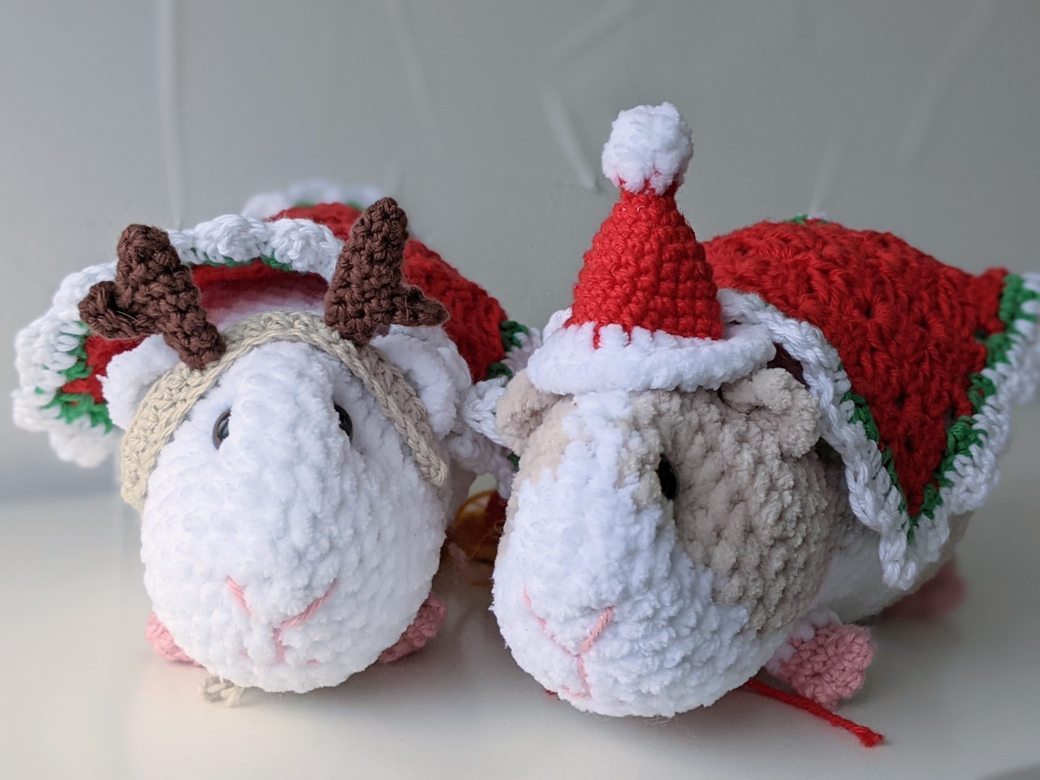Guinea Pig – Olives Toy Box