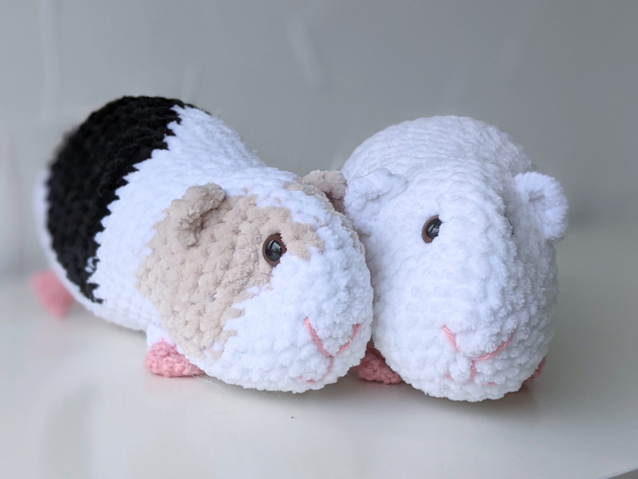 Guinea Pig – Olives Toy Box