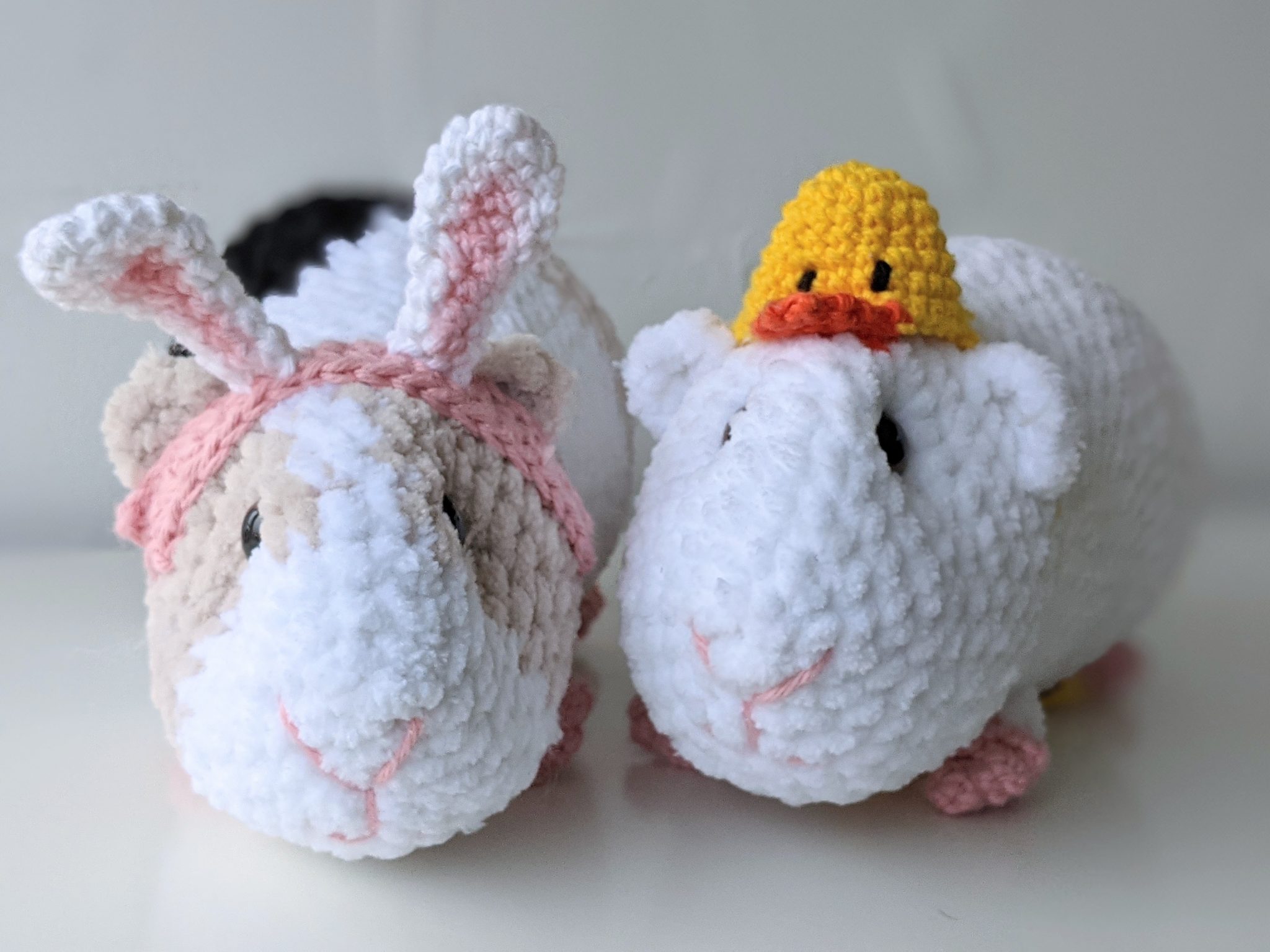 Guinea Pig – Olives Toy Box