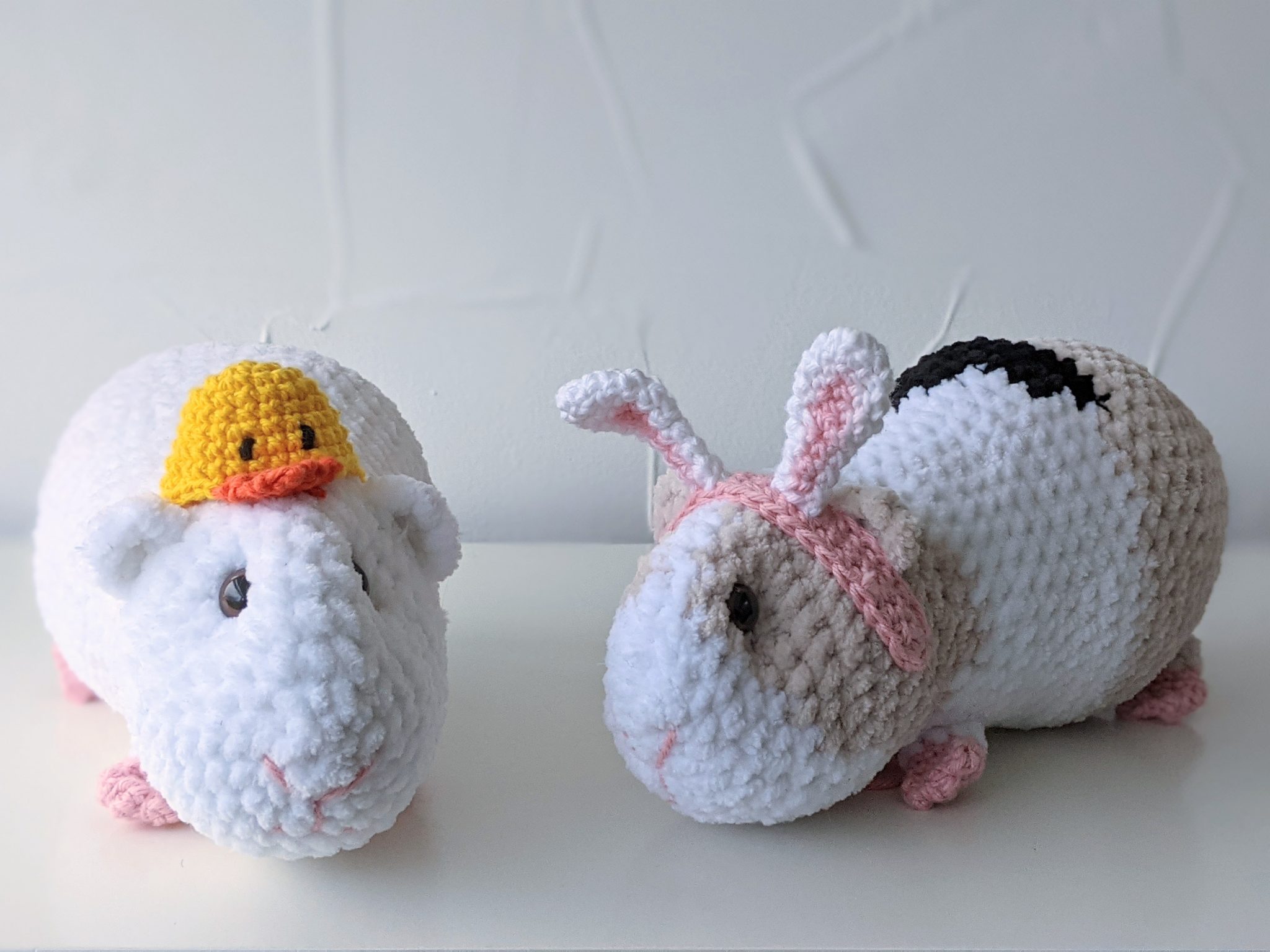 Guinea Pig – Olives Toy Box